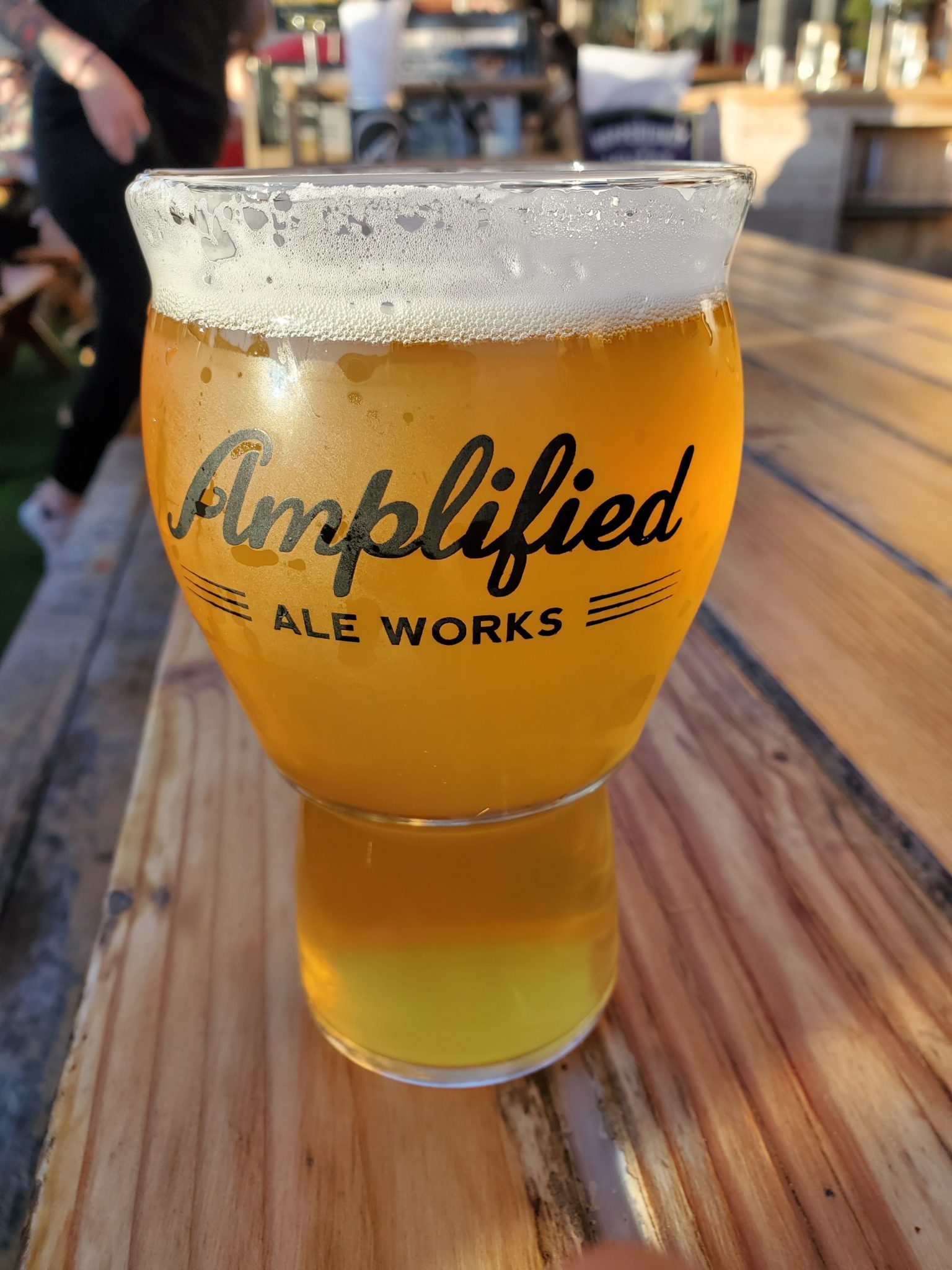 E-Vil Elephant IPA | My Beer Pix