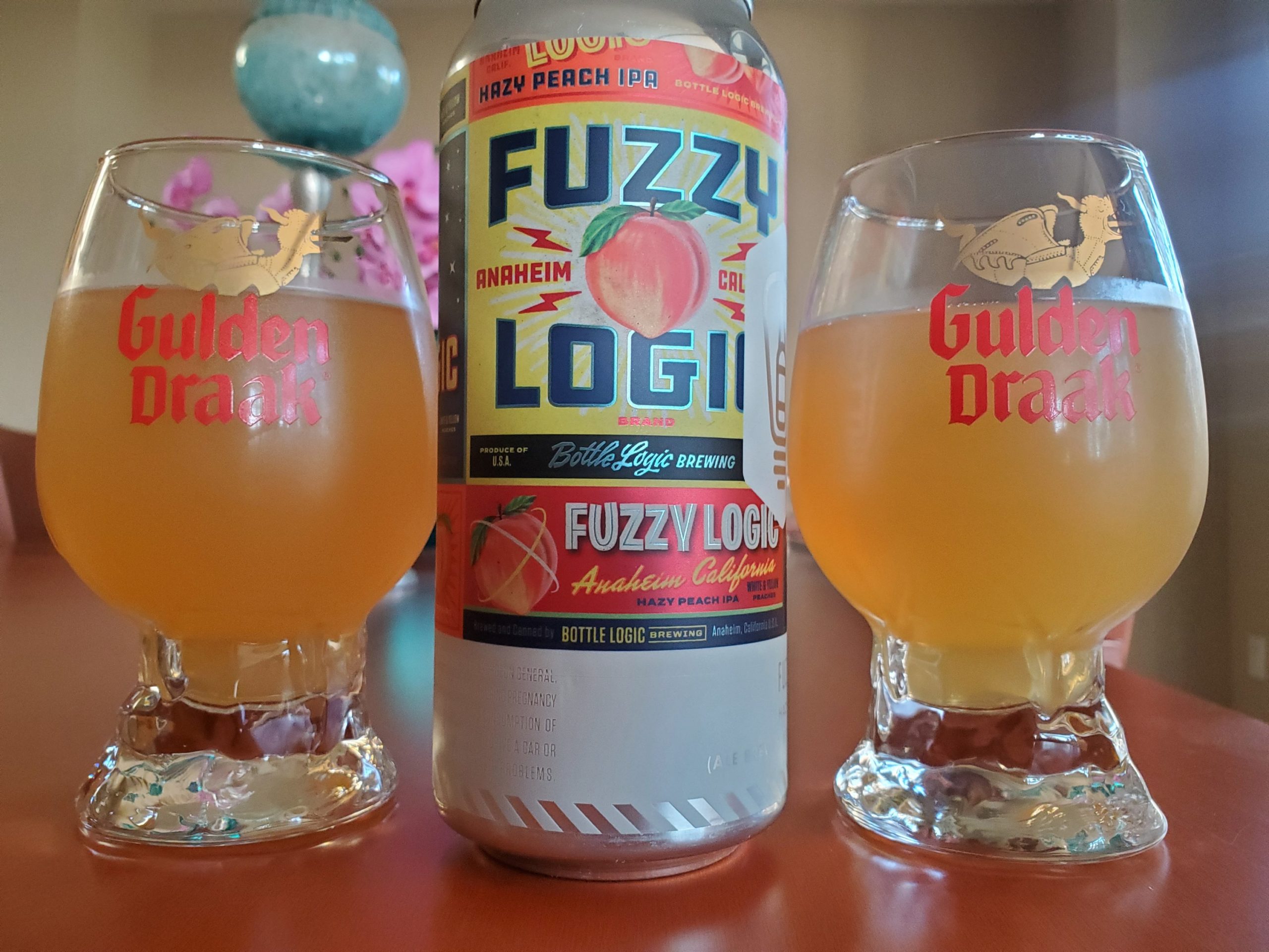 Fuzzy Logic | My Beer Pix
