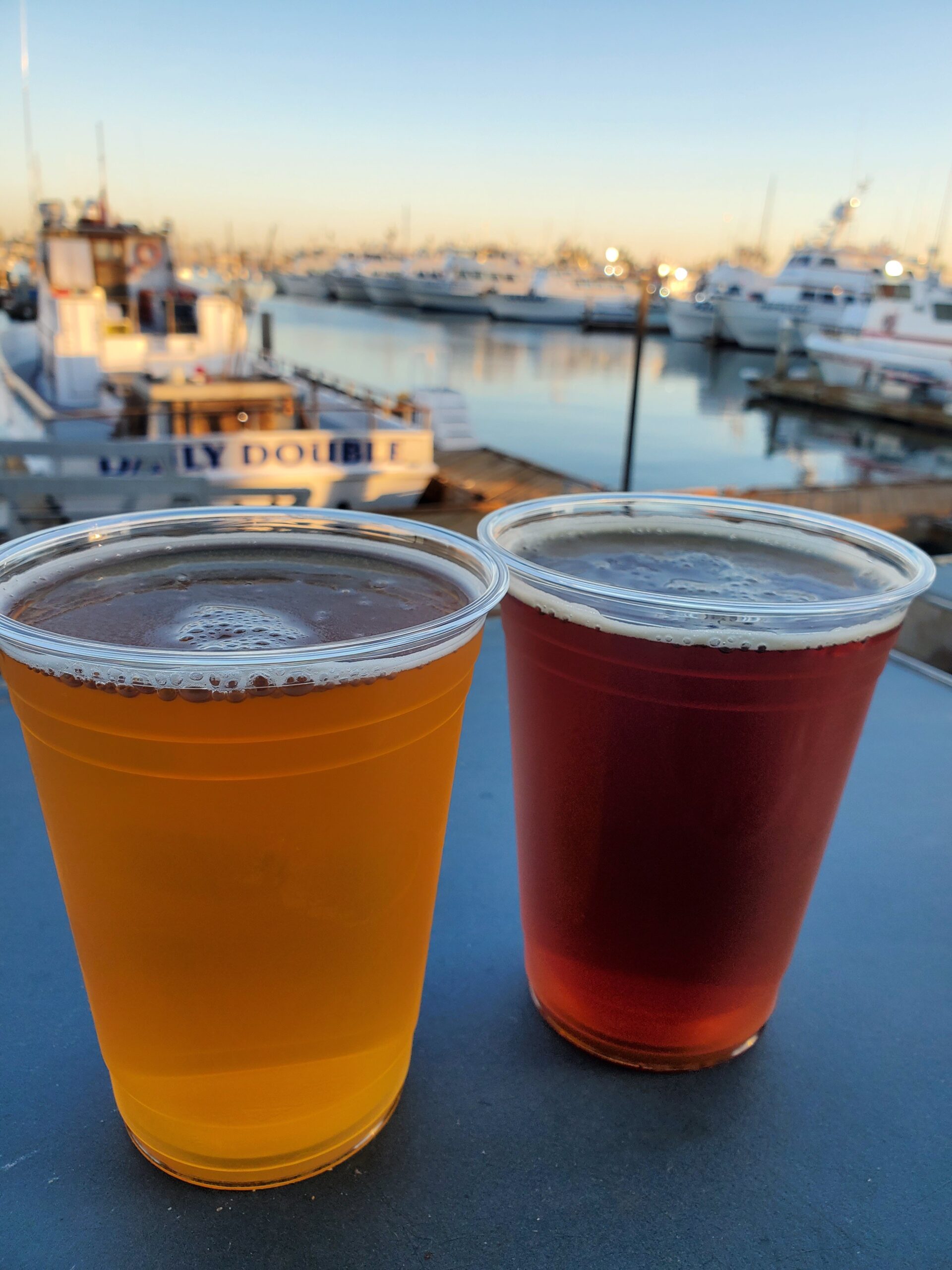 Dolphin Tanks DIPA… | My Beer Pix