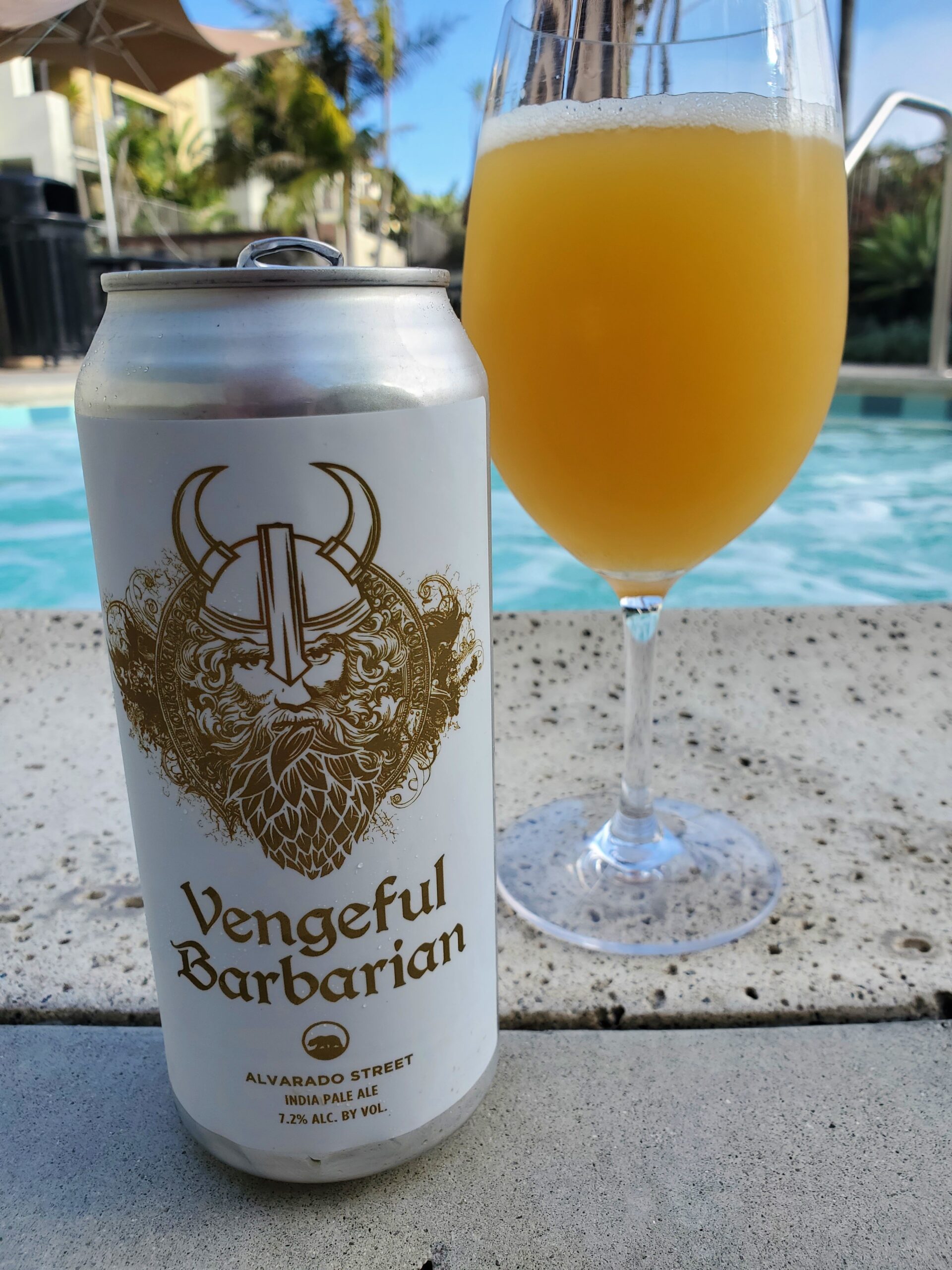 Vengeful Barbarian in the Jacuzzi | My Beer Pix